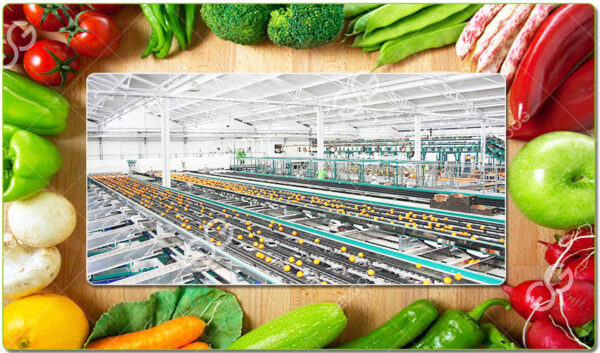 Comment Démarrer Une Unité De Transformation De Fruits Et Légumes